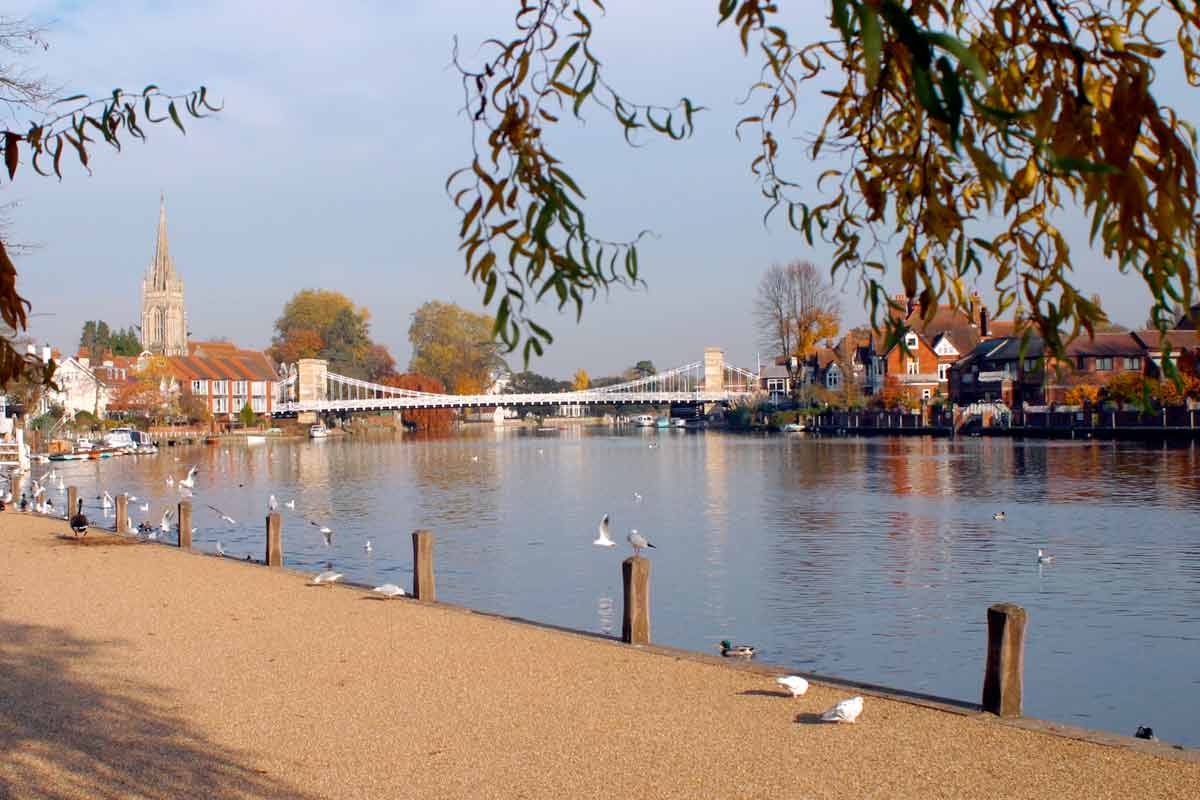 Arborist Marlow | Oxfordshire | Tree Felling | Tree Pruning ...